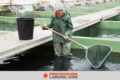 Ropa Impermeable o Repelente al Agua | Más Protección Laboral